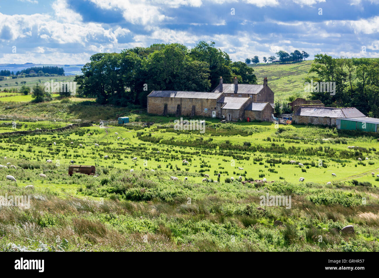 Winshields Farm on Hadrian's Wall near Once Brewed, Cumbria, England ...