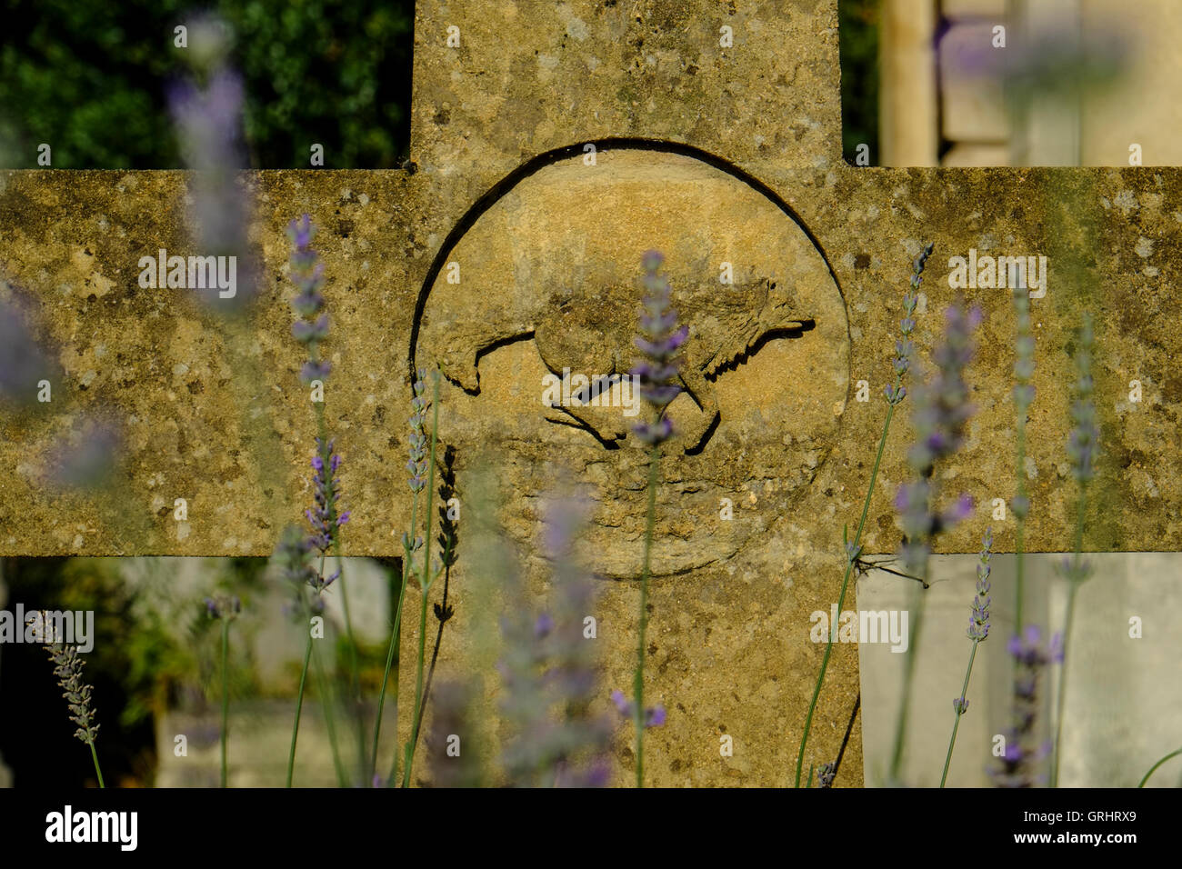 Grave of Long Wolf in Brompton Cemetery Stock Photo - Alamy