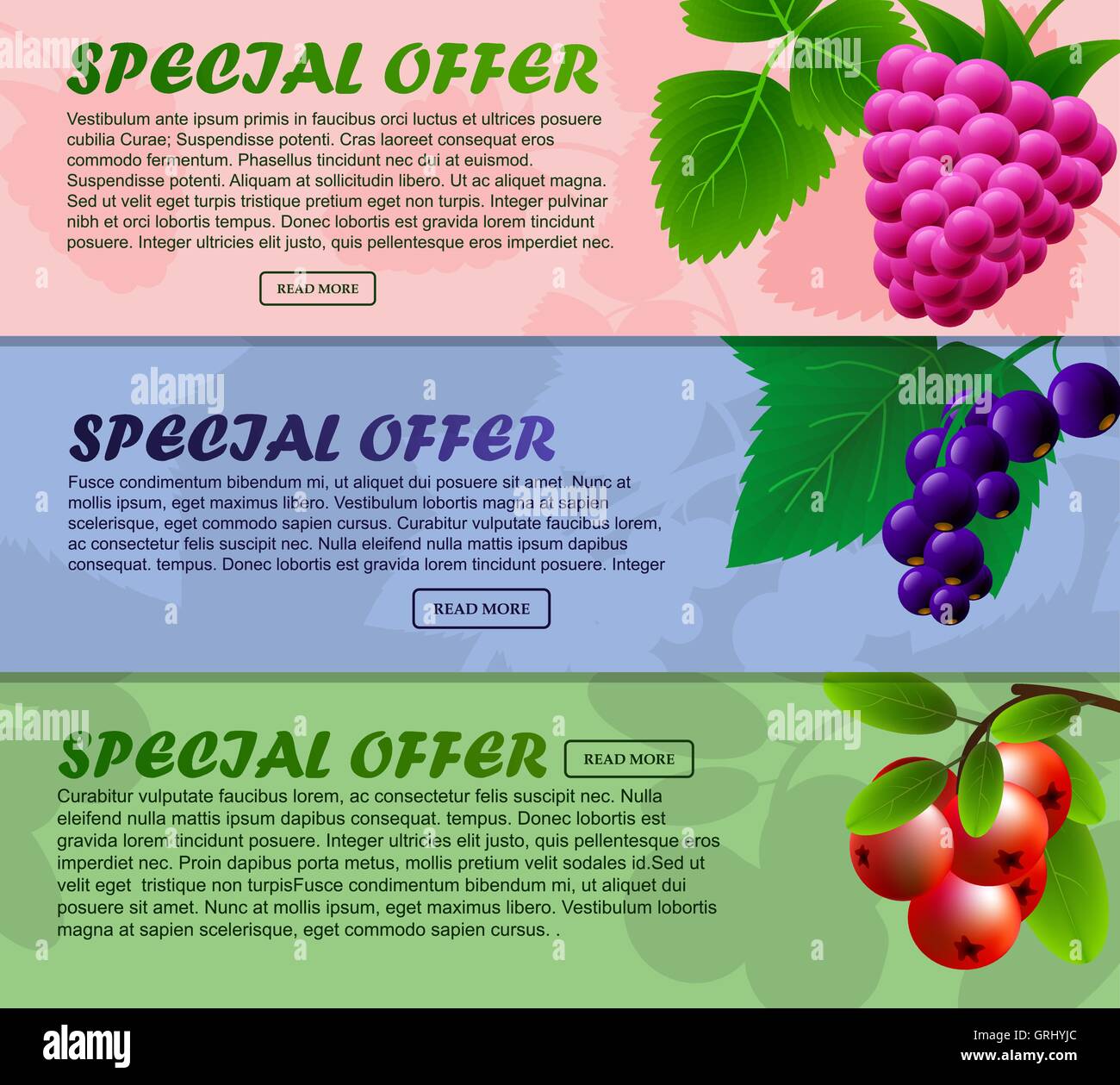 Three banner with raspberries, currants and cranberries with space for ...