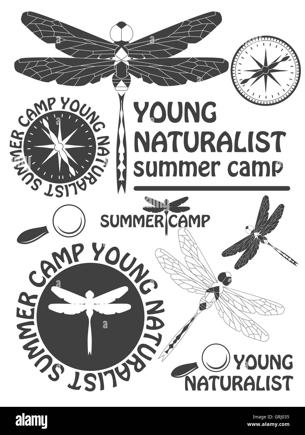 Set of vintage dragonfly labels, badges and design elements. Vector ...
