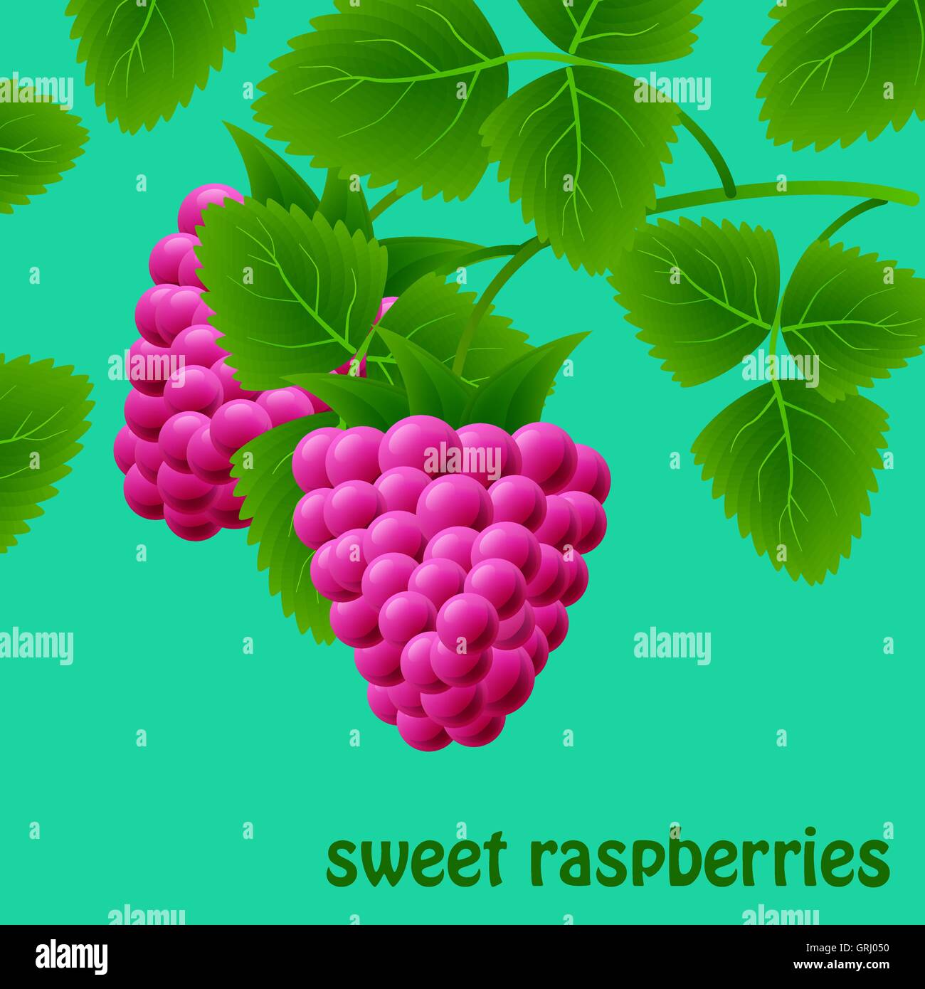Raspberry slices Stock Vector Images - Alamy