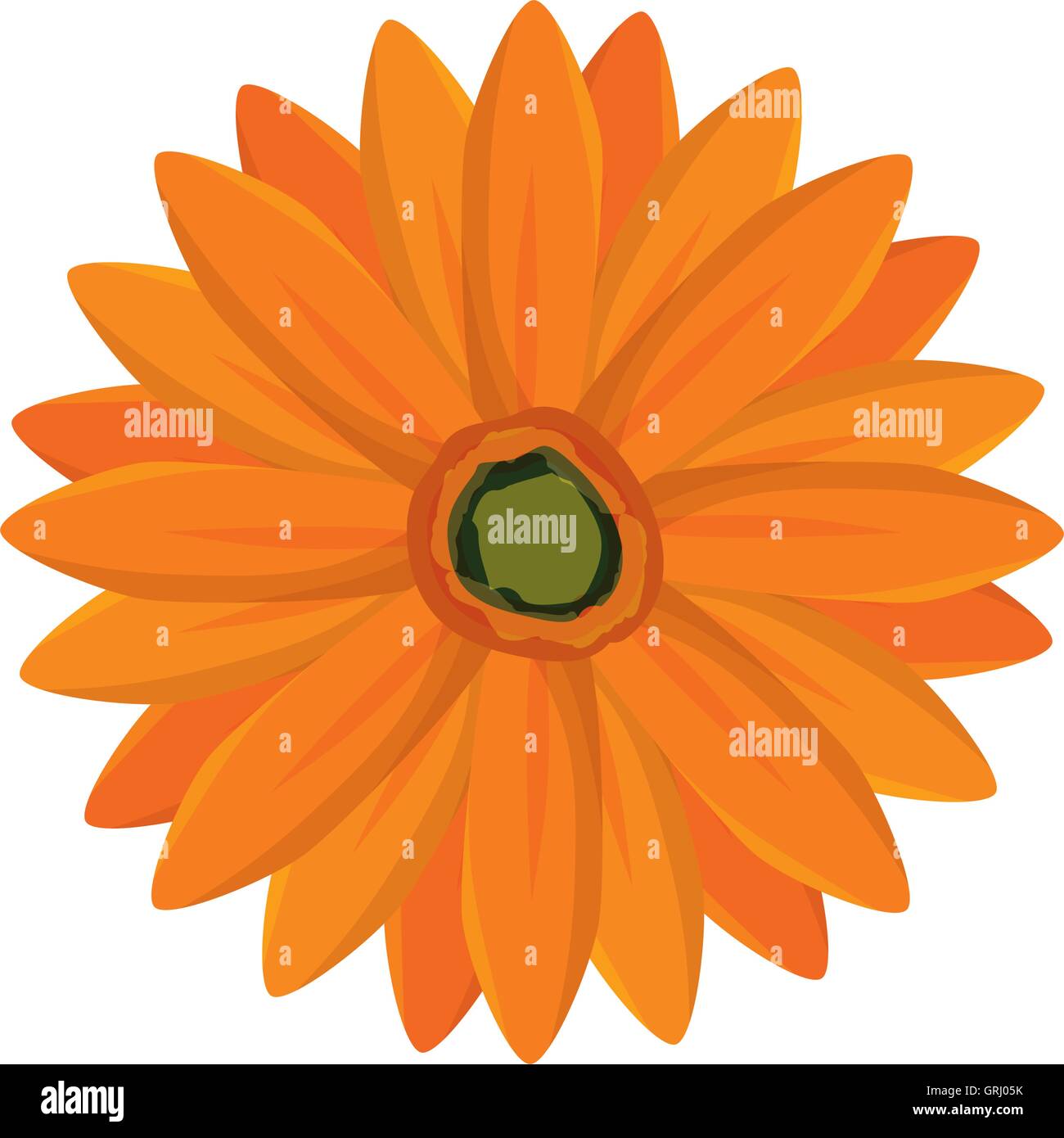 yellow floral blossom Stock Vector Image & Art - Alamy