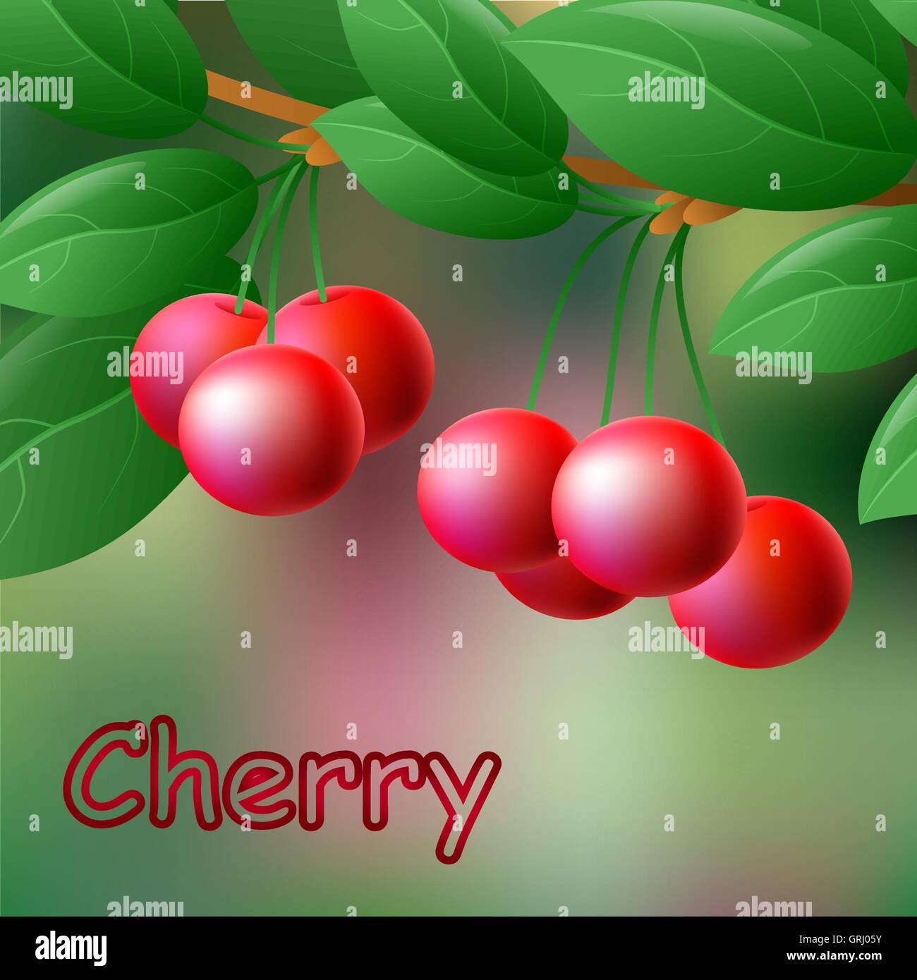 Closeup two red garden Stock Vector Images - Alamy