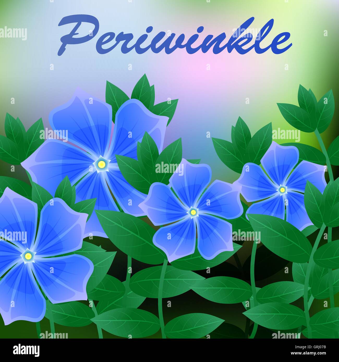 Breeding herb Stock Vector Images - Alamy