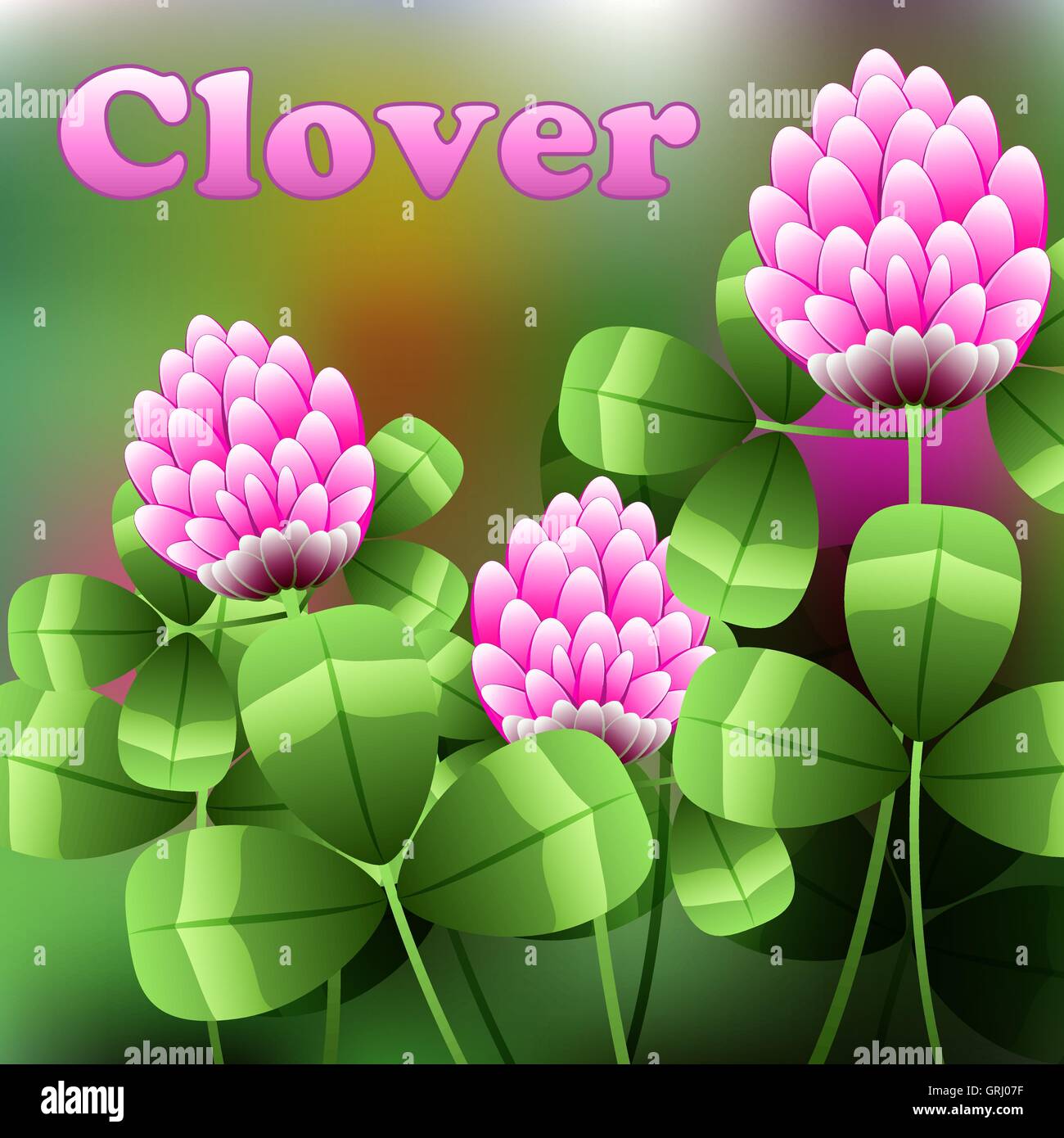 Blooming pink flowers on green field, clover meadow. Vector Stock ...
