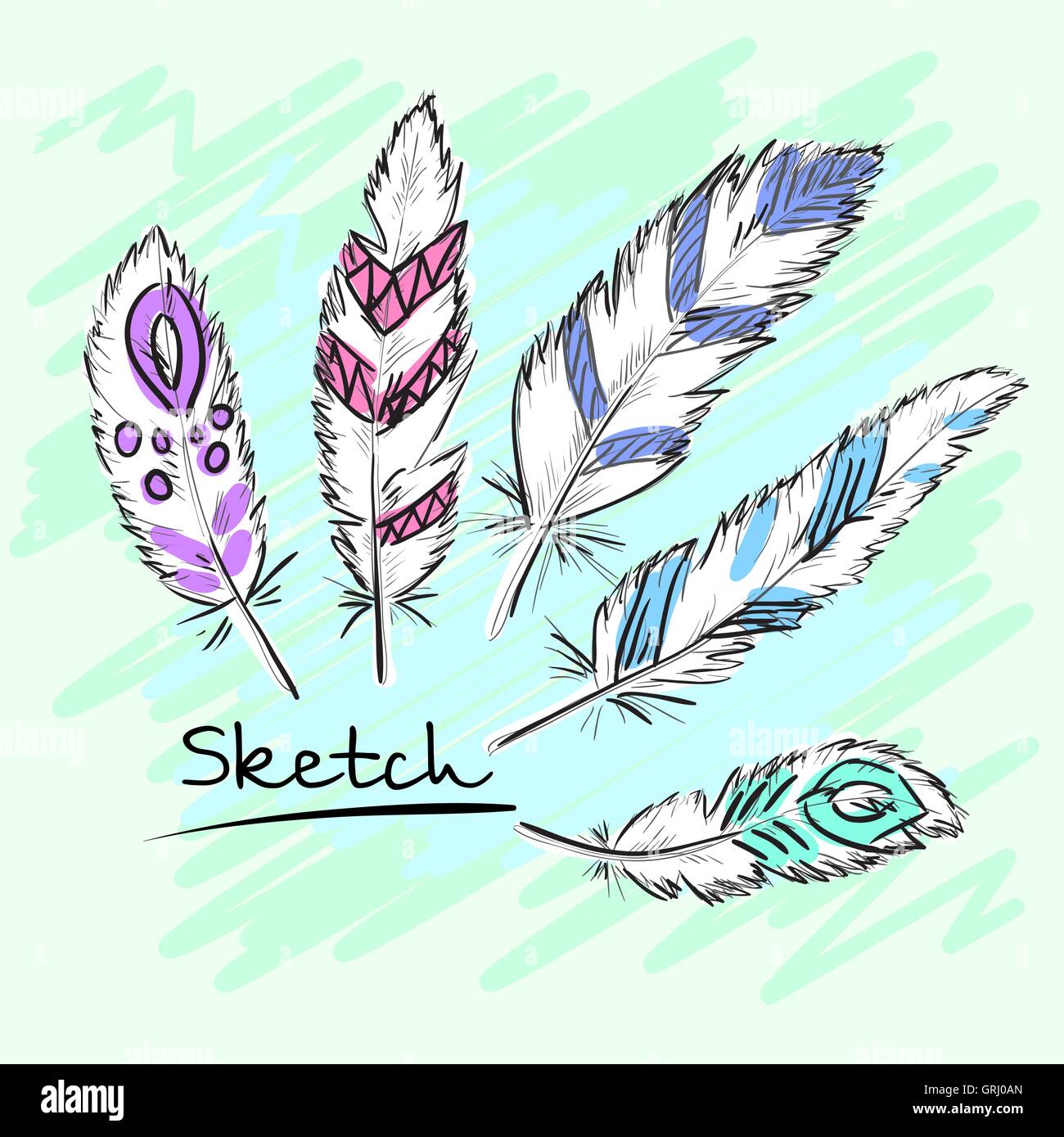 Set of beautiful colored feather. Sketch feathers. Vector Stock Vector ...