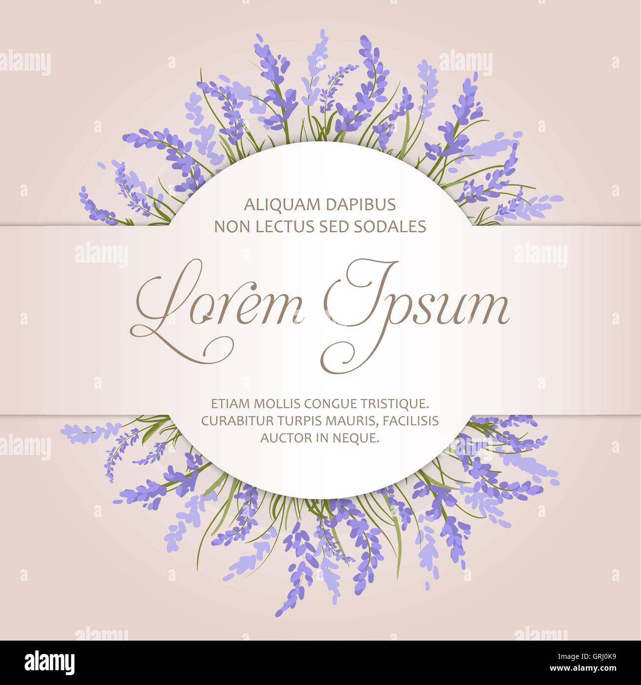 Composition of lavender on beige background with space for your text ...
