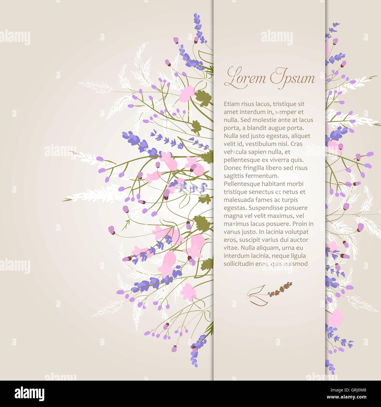 Composition of delicate wild flowers on a beige background with space ...