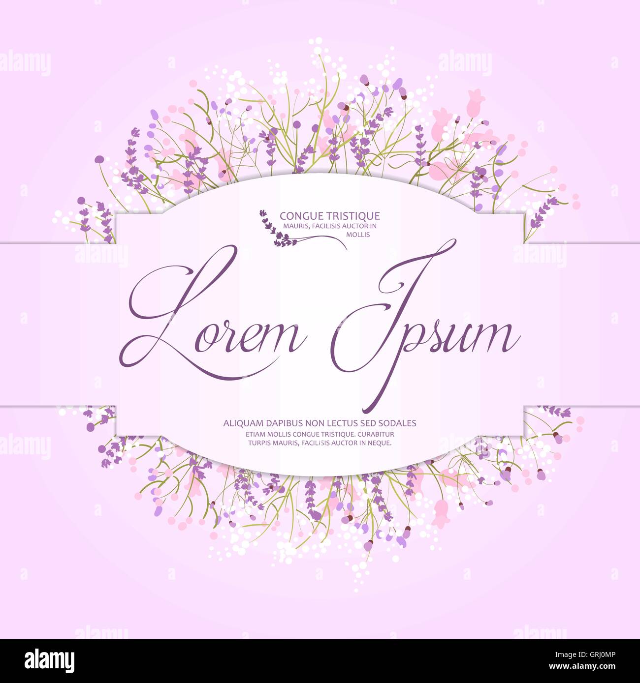 Composition of delicate wild flowers on a pink background with space ...