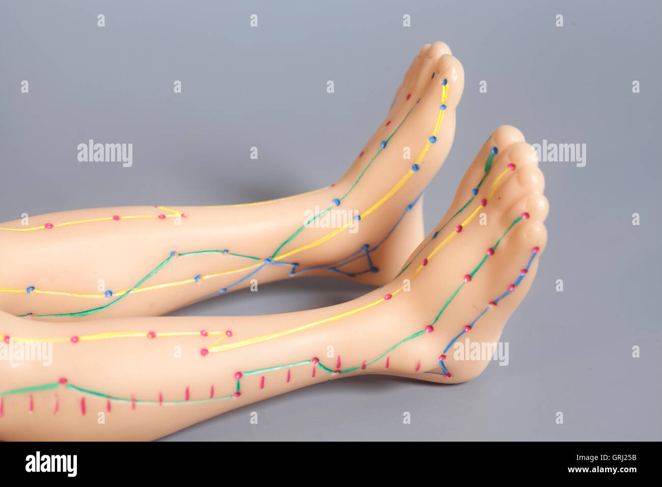 Medical acupuncture model of human feet on gray background Stock Photo ...