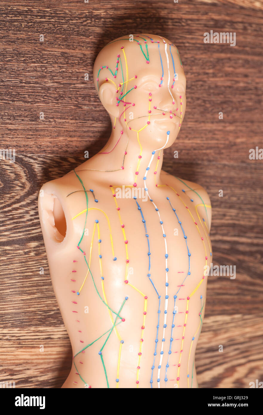 Medical acupuncture model of human on wooden background Stock Photo - Alamy