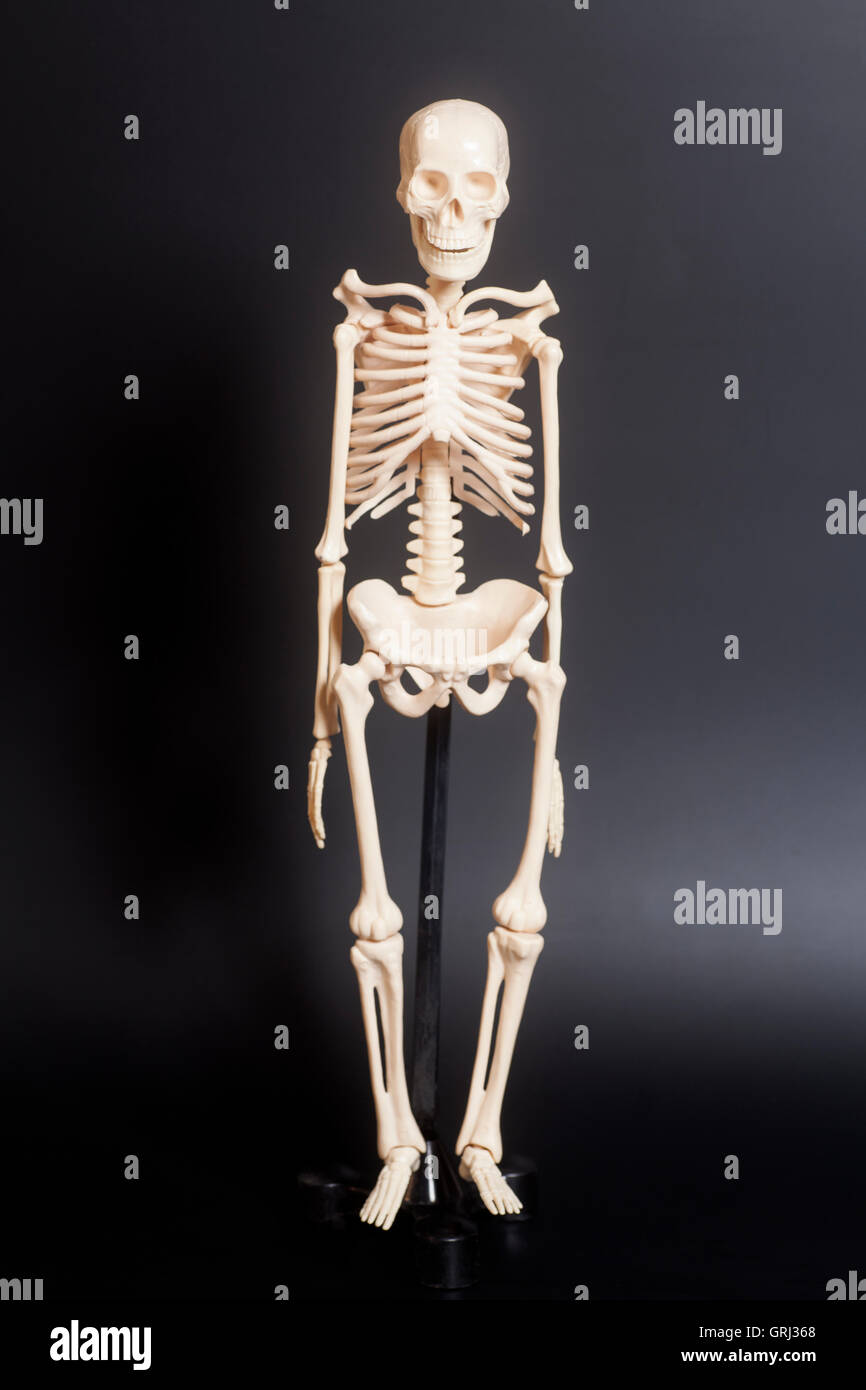 Human skeleton on black background Stock Photo - Alamy
