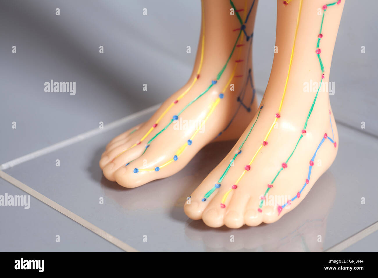 Medical acupuncture model of human feet on gray background Stock Photo ...