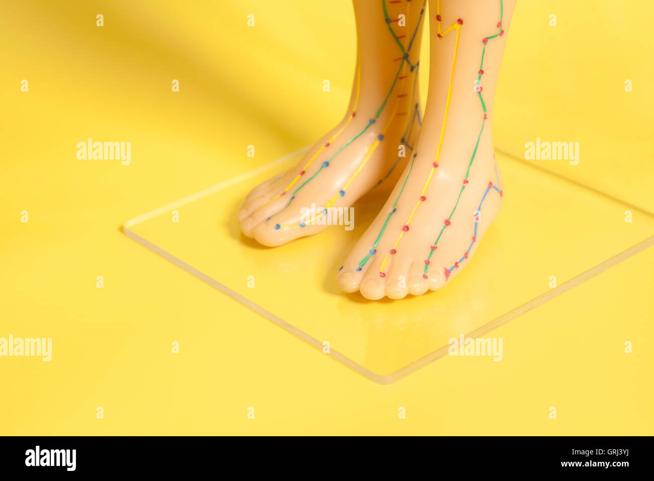 Medical acupuncture model of human feet on yellow background Stock ...