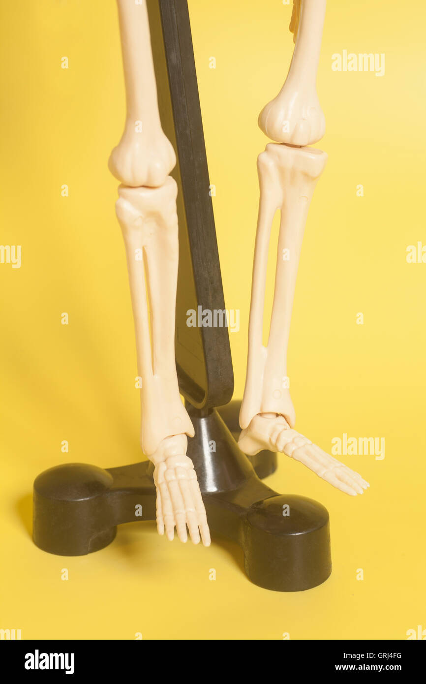 Skeleton legs on yellow background Stock Photo - Alamy