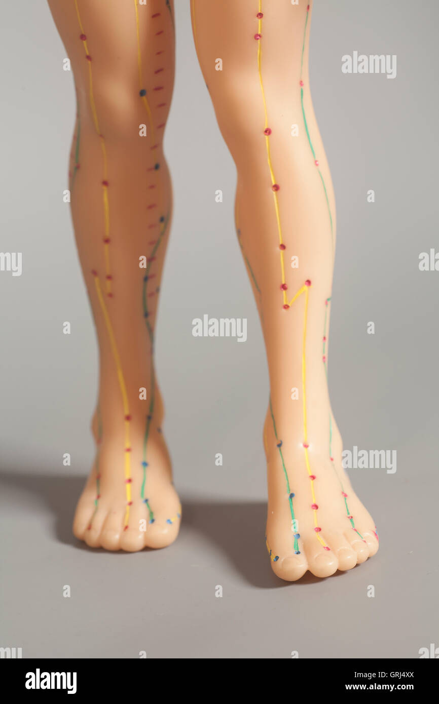 Medical acupuncture model of human feet on gray background Stock Photo ...