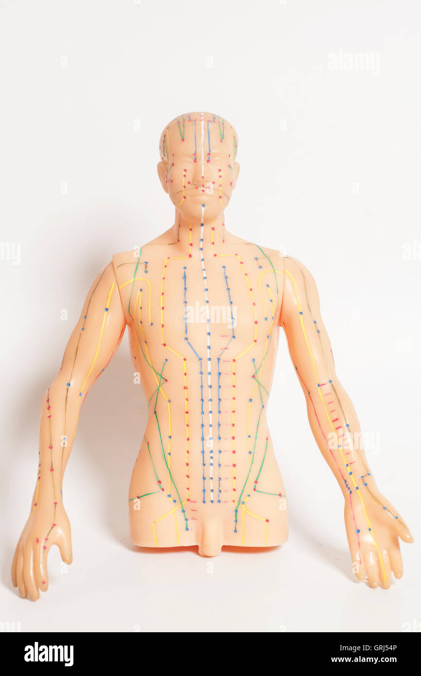 Medical acupuncture model of human on white background Stock Photo - Alamy
