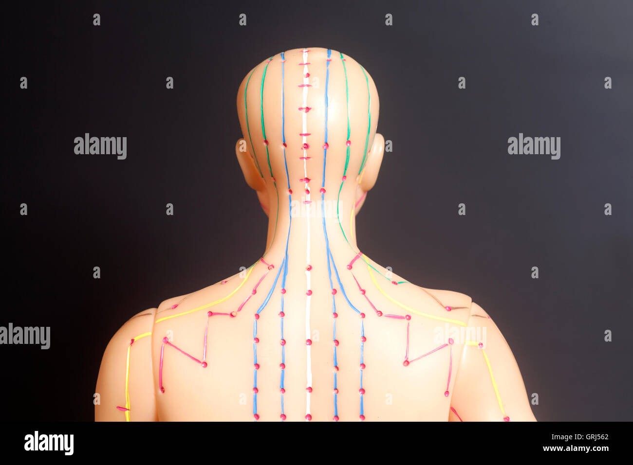Medical acupuncture model of human on black background Stock Photo - Alamy