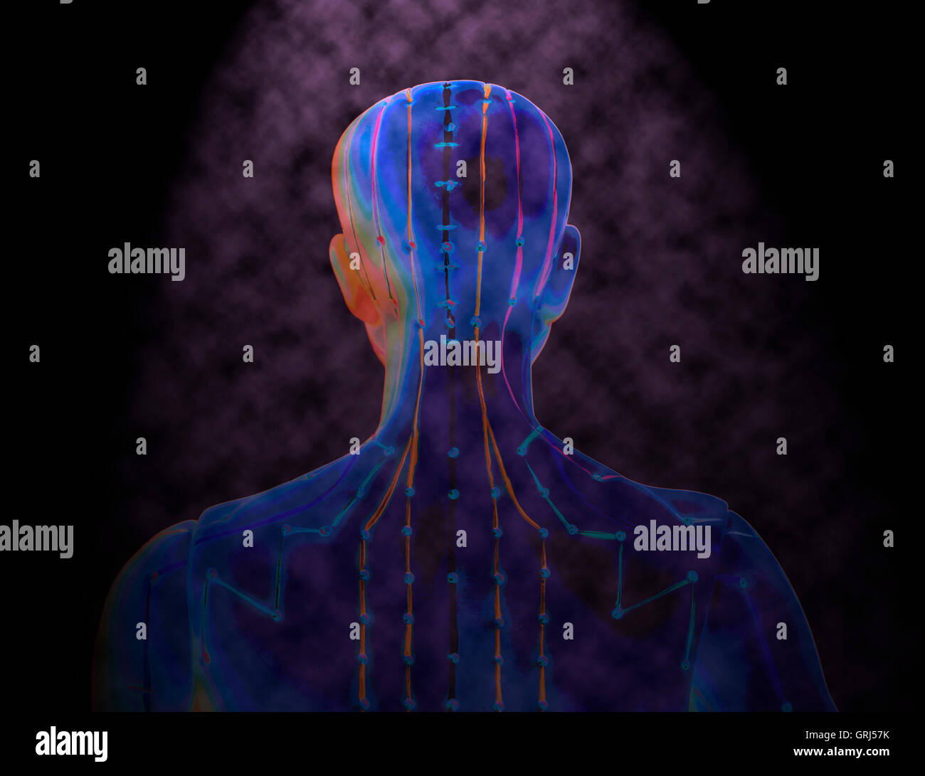 Medical acupuncture model of human on black background Stock Photo - Alamy