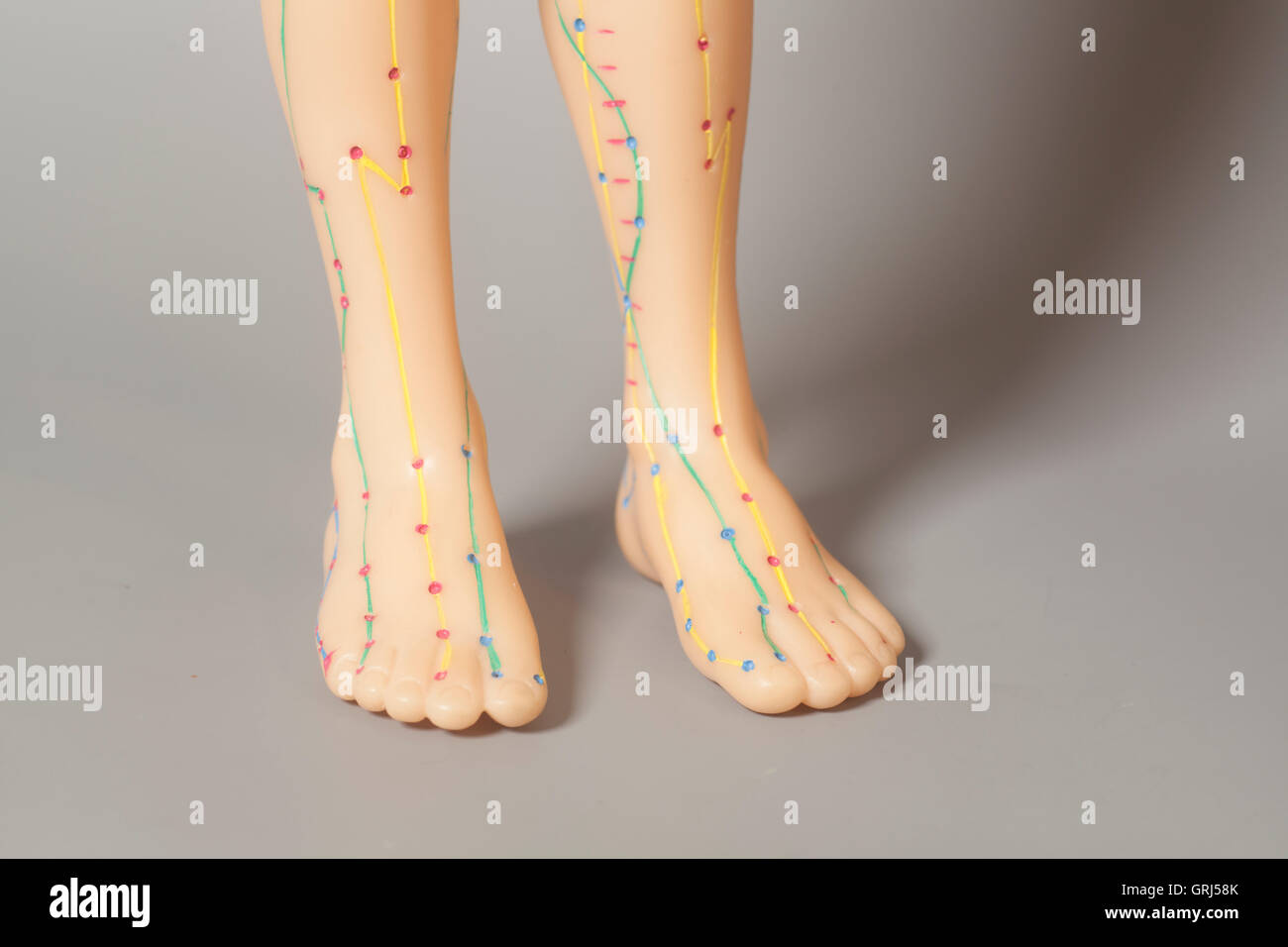 Medical acupuncture model of human feet on gray background Stock Photo ...