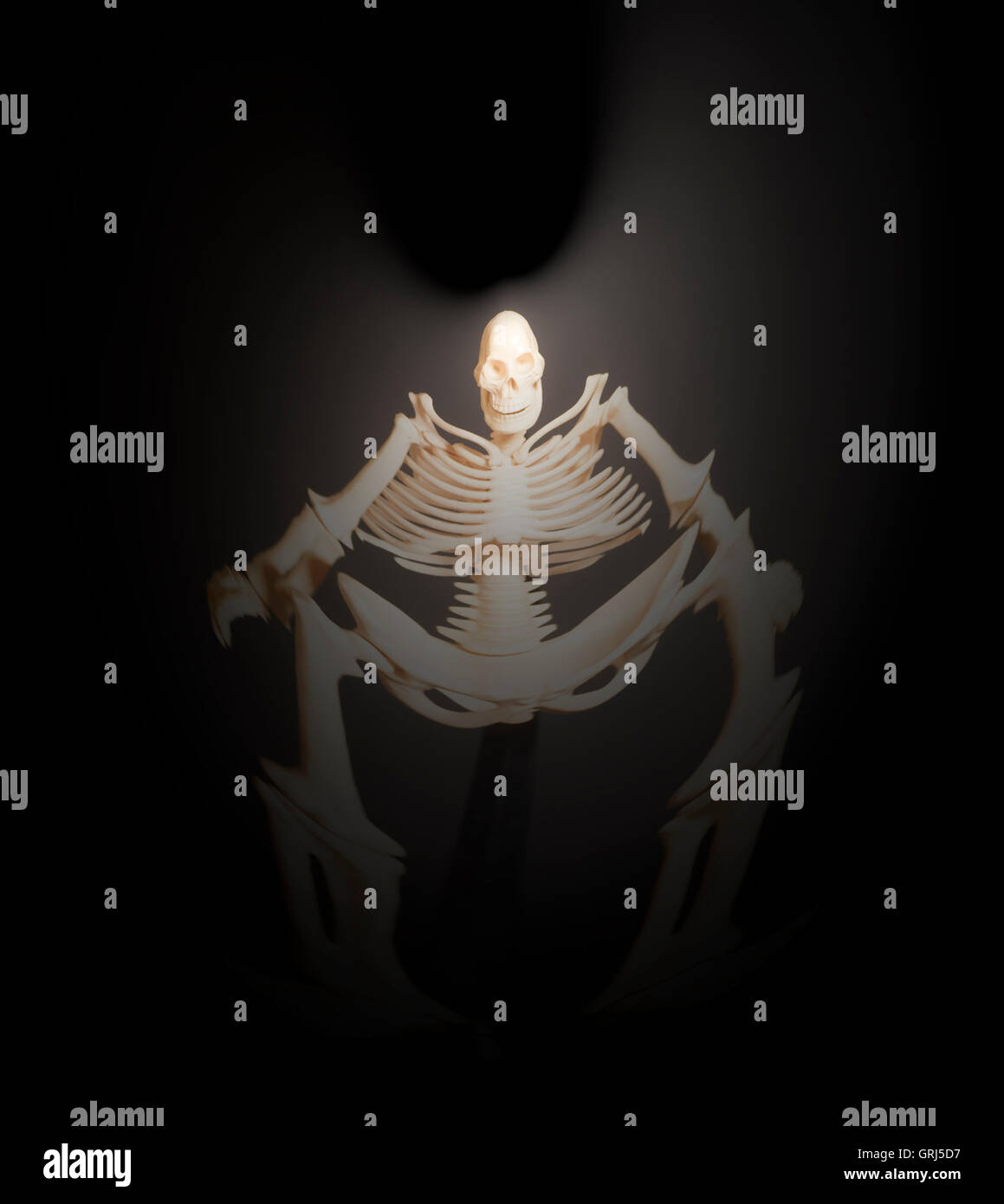 Human skeleton on black background Stock Photo - Alamy