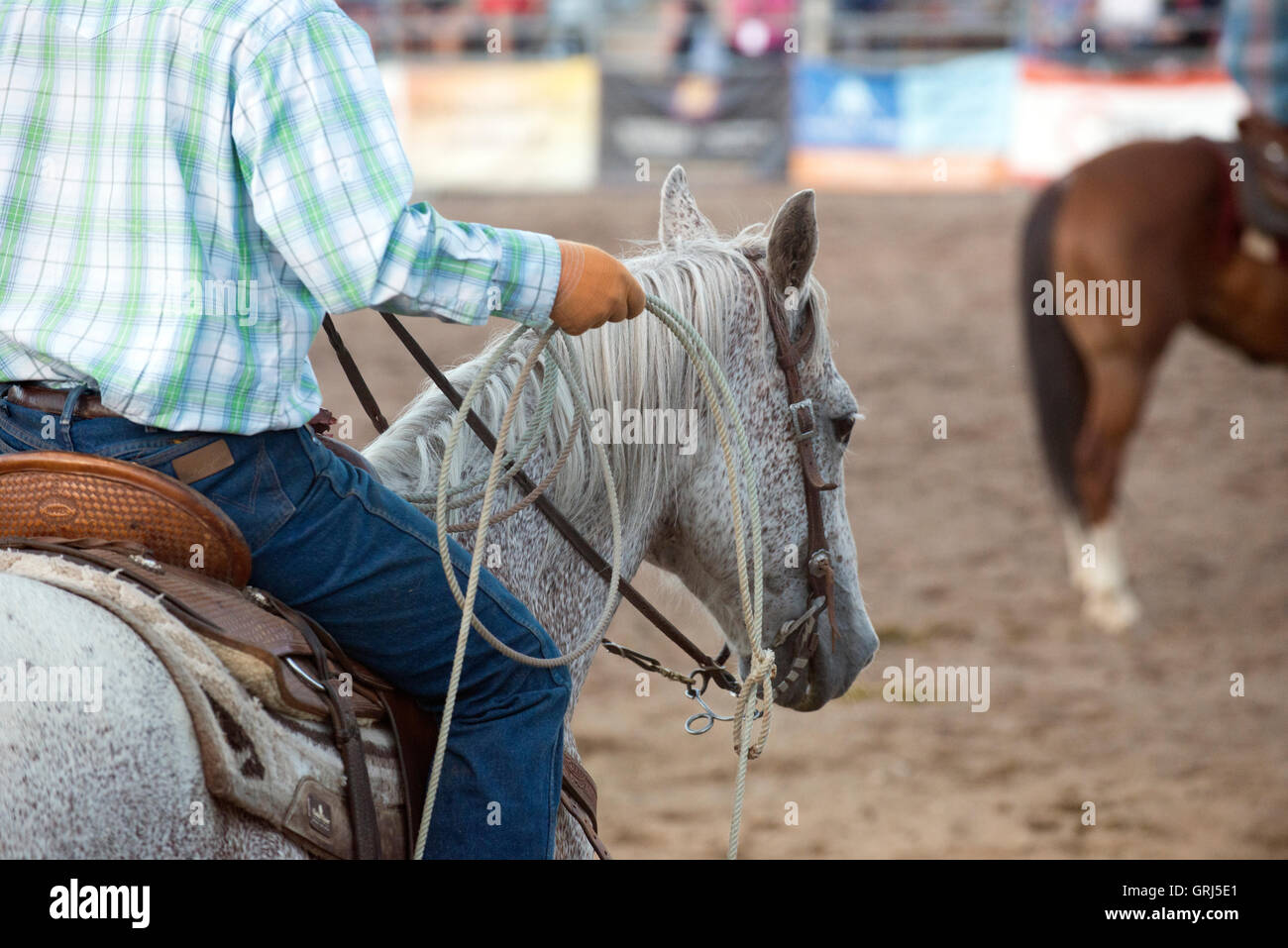 Close up of a cowboy with his lasso at the rodeo Stock Photo - Alamy