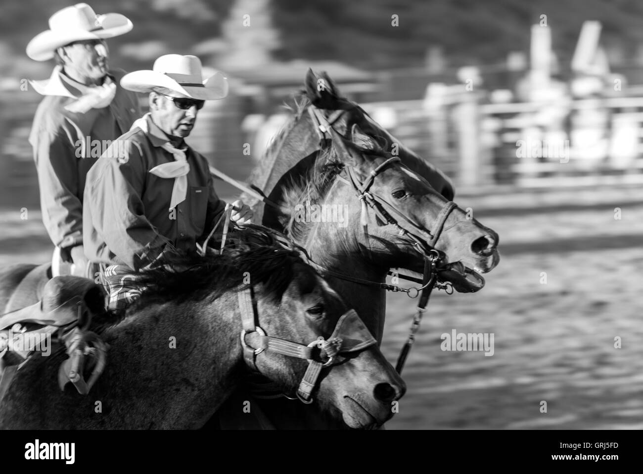 Two cowboys riding horses hi-res stock photography and images - Alamy