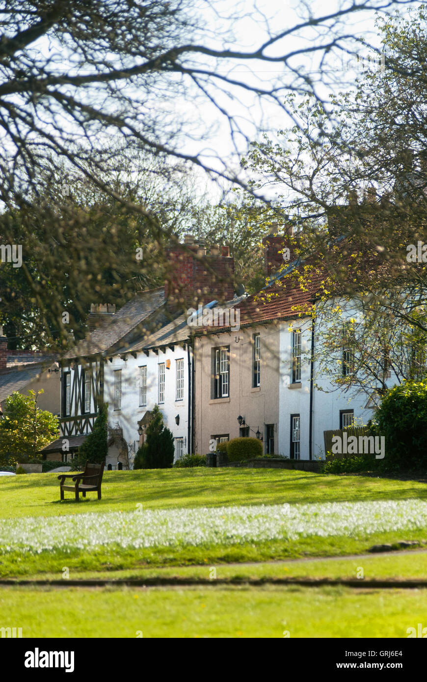 Whitburn School Badge Clipart