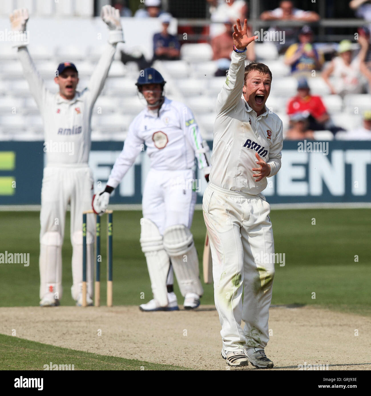 Tom Craddock appeals successfully for the wicket of Derbyshire batsman ...