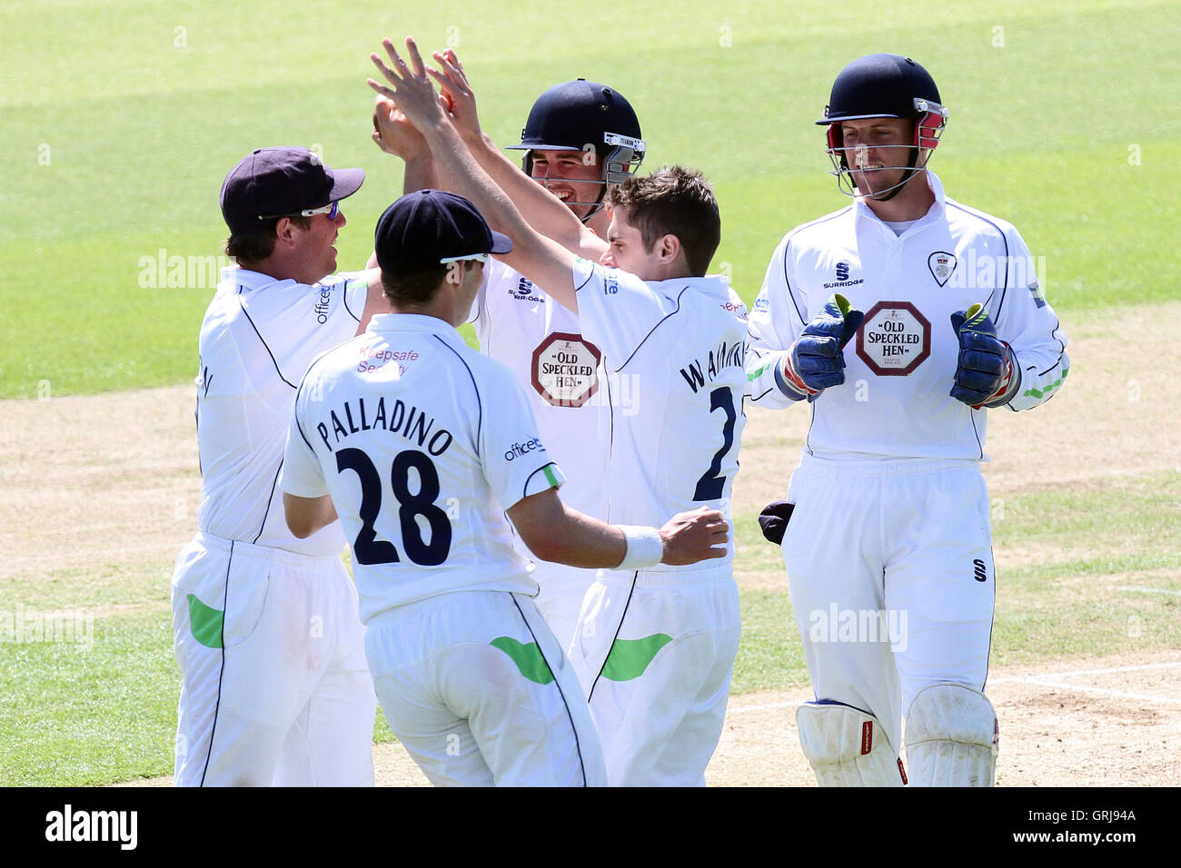David Wainwright of Derbyshire (2nd R) celebrates the wicket of Mark ...