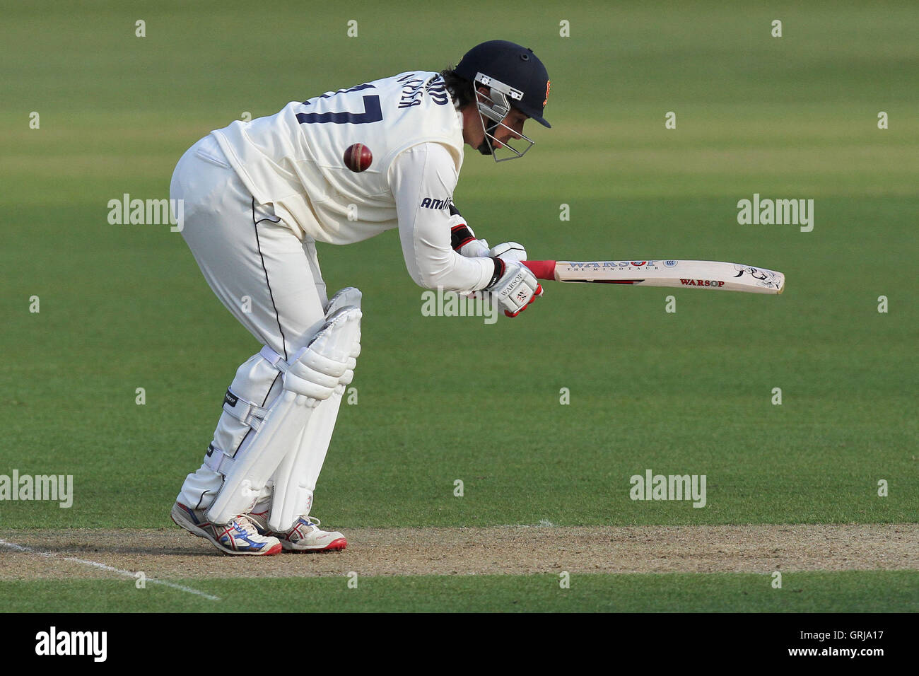 Graham Napier is struck painfully by the ball - Essex CCC vs ...