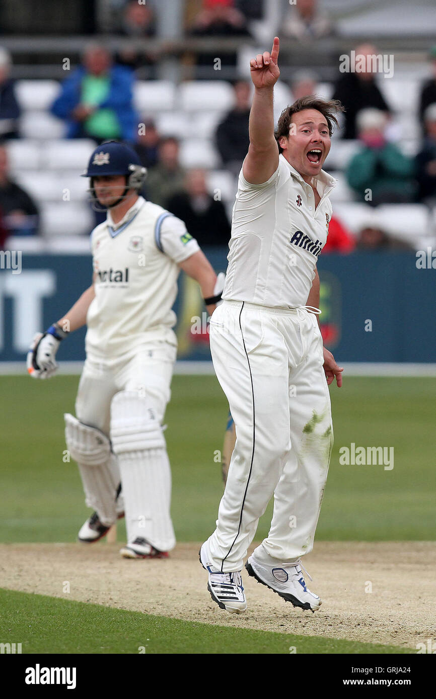 Richard coughtrie hi-res stock photography and images - Alamy