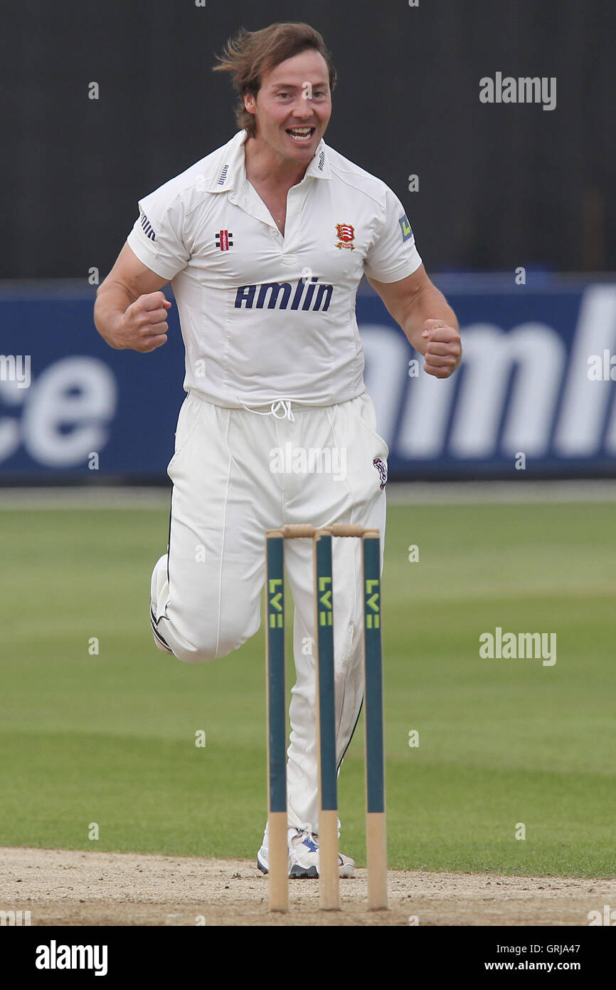 Graham Napier of Essex celebrates the wicket of Jimmy Adams - Essex CCC ...