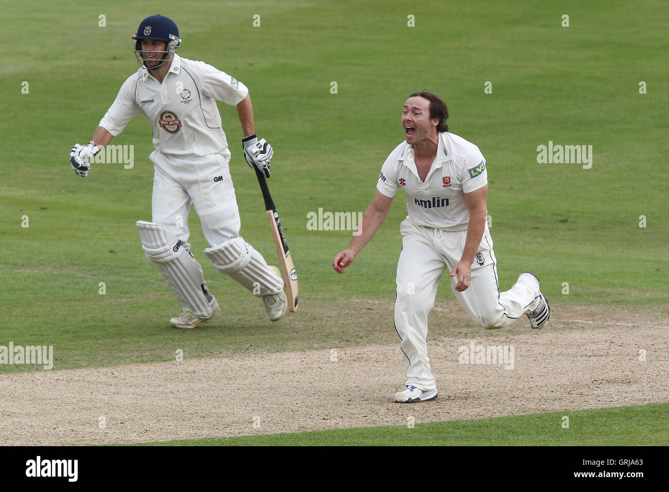 Graham Napier of Essex makes a strong appeal for the wicket of Sean ...