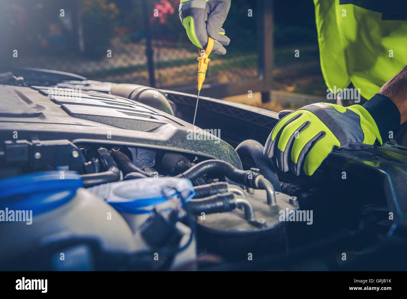 Car Mechanic Checking Oil Level in Modern Car Engine Stock Photo - Alamy
