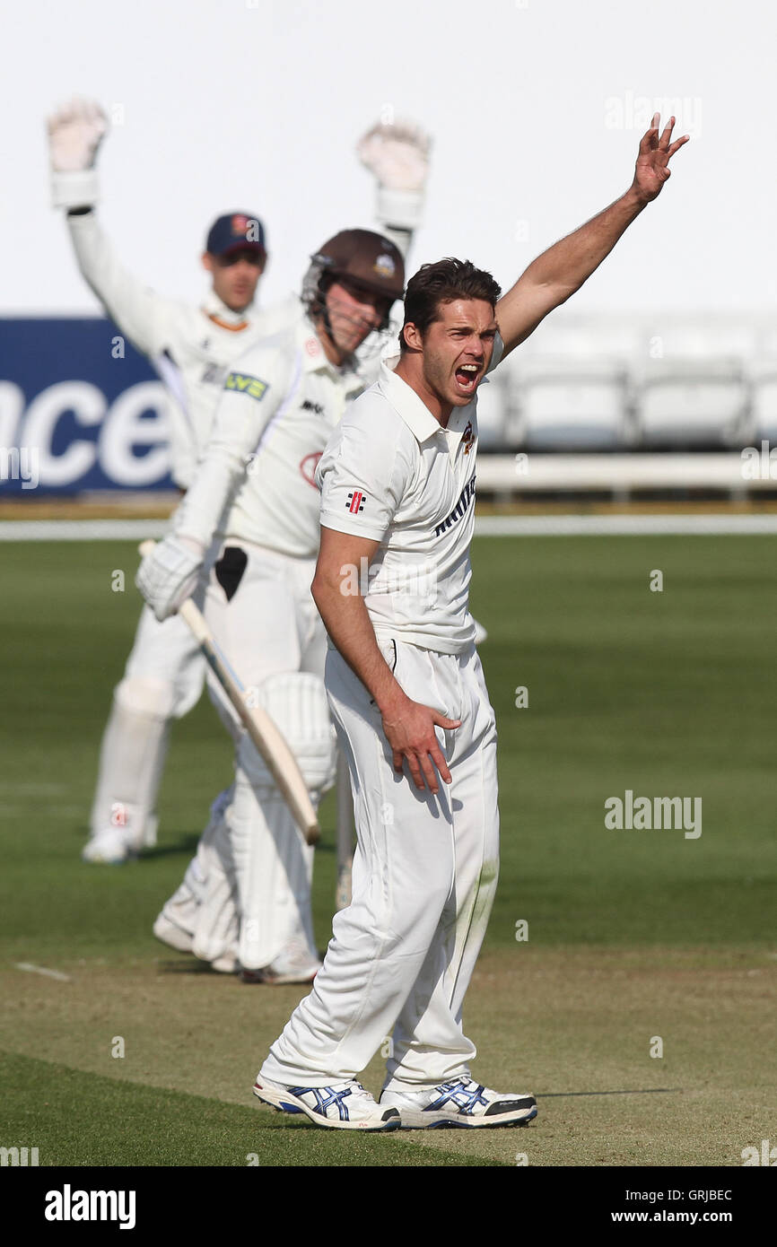 Greg Smith of Essex appeals for the wicket of Stuart Meaker - Essex CCC ...
