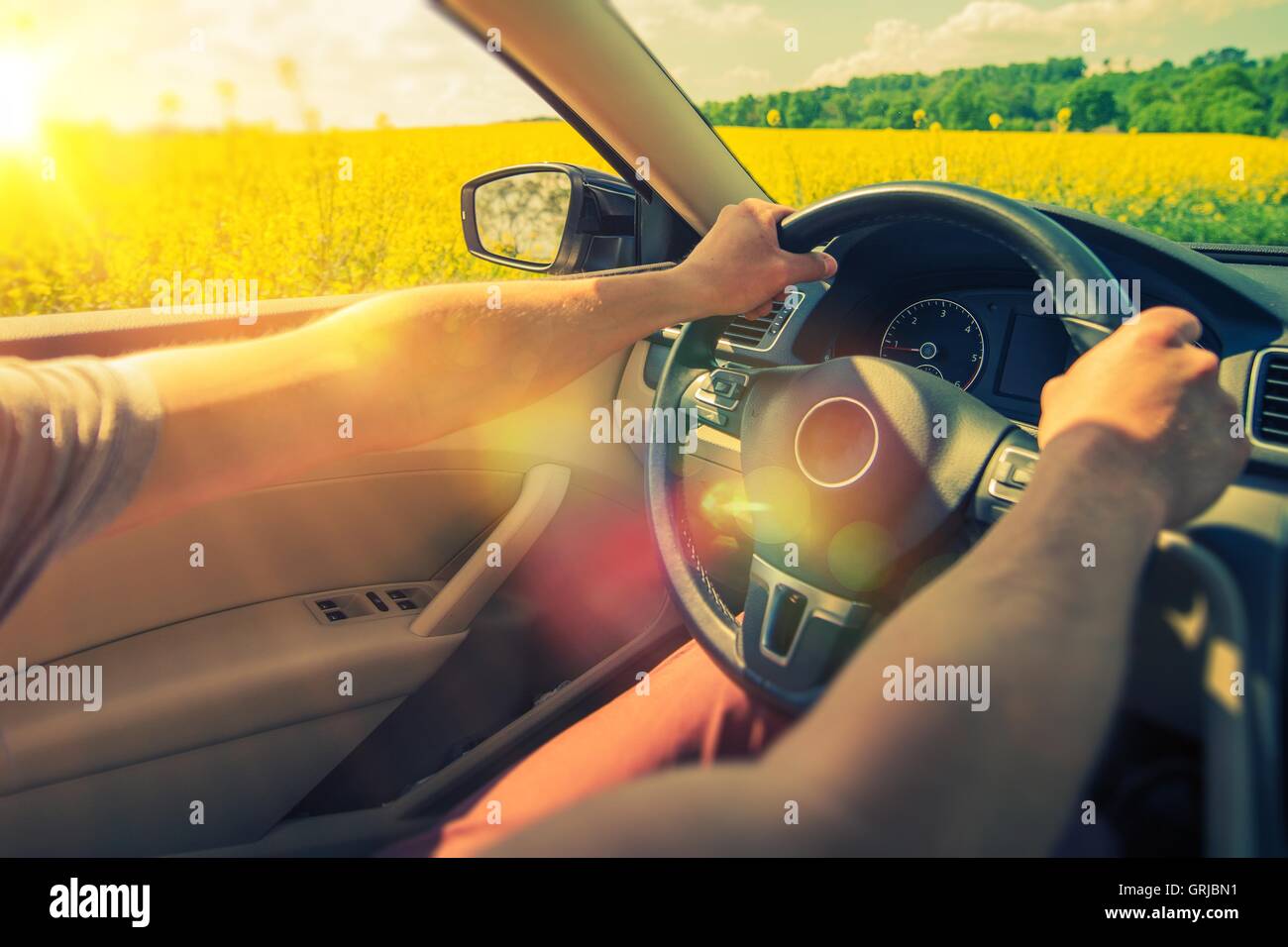 Summer Car Trip. Enjoying Car Ride Through Flowering Summer Fields ...