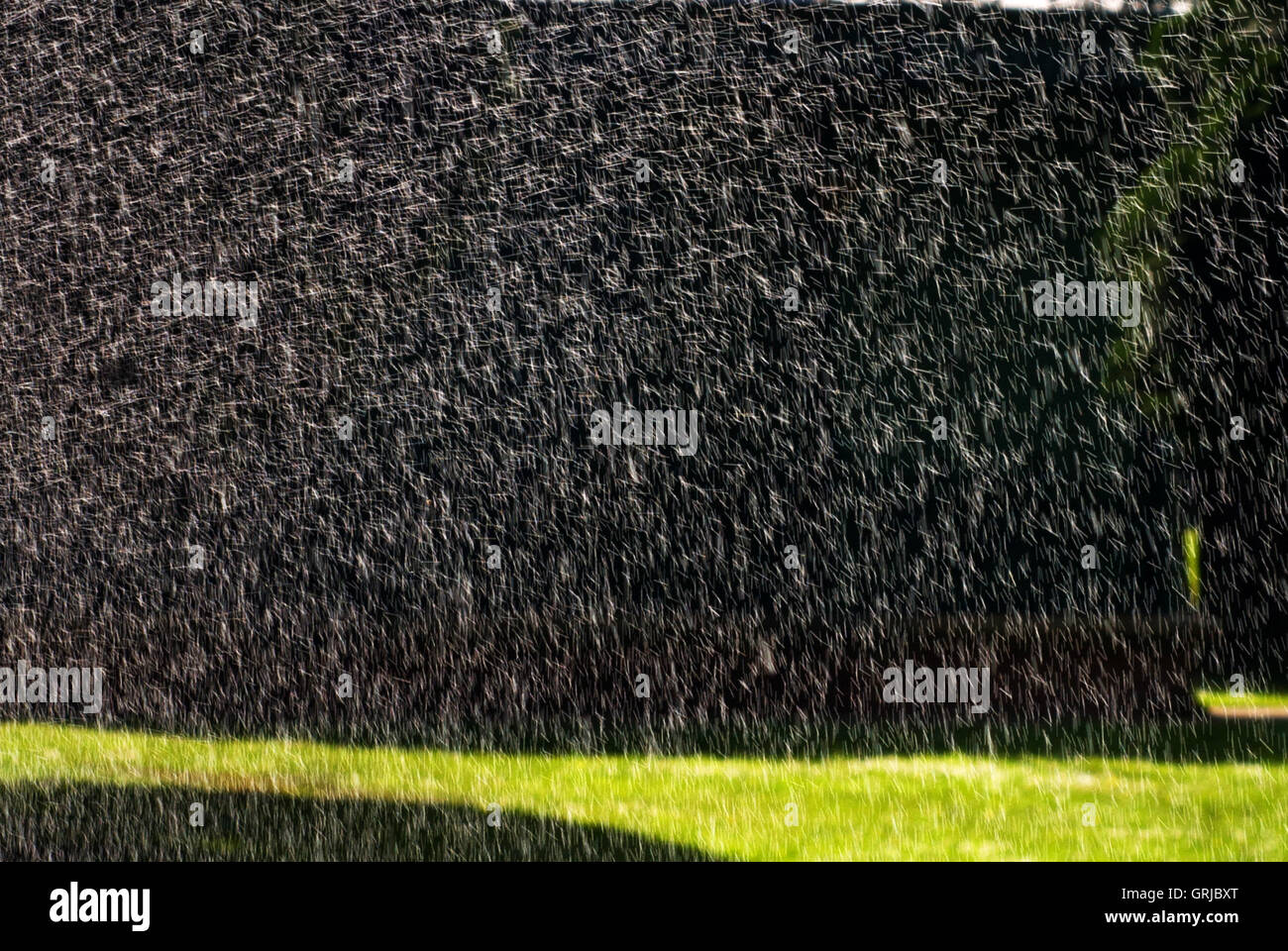 Sprinkler water drops hi-res stock photography and images - Alamy