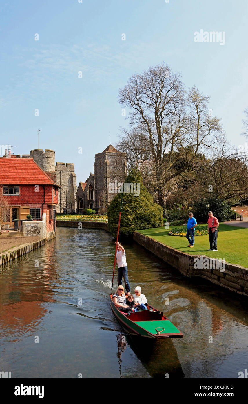 Punting on River Stour, Canterbury, Kent, UK Stock Photo - Alamy