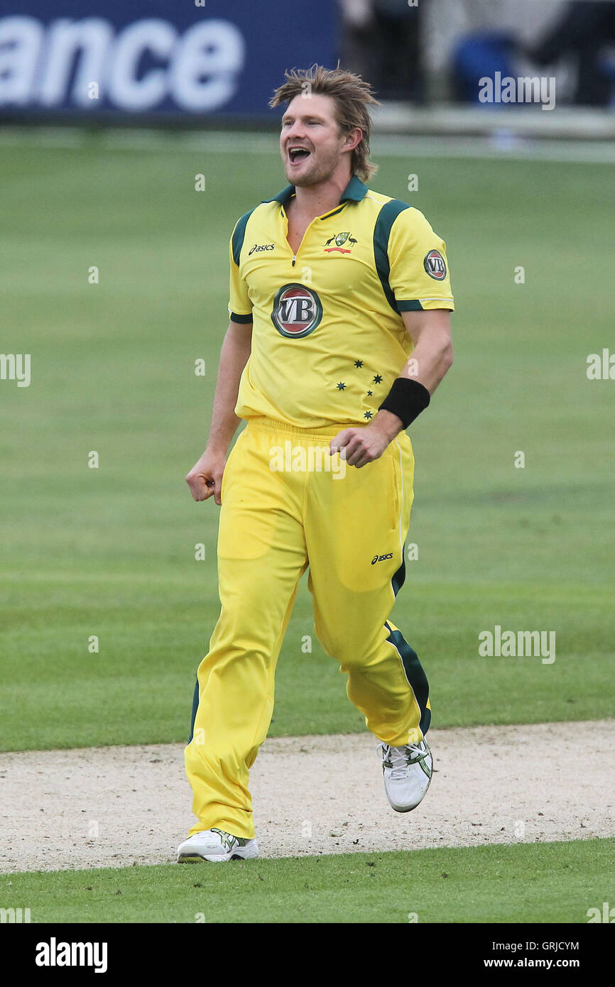 Shane Watson