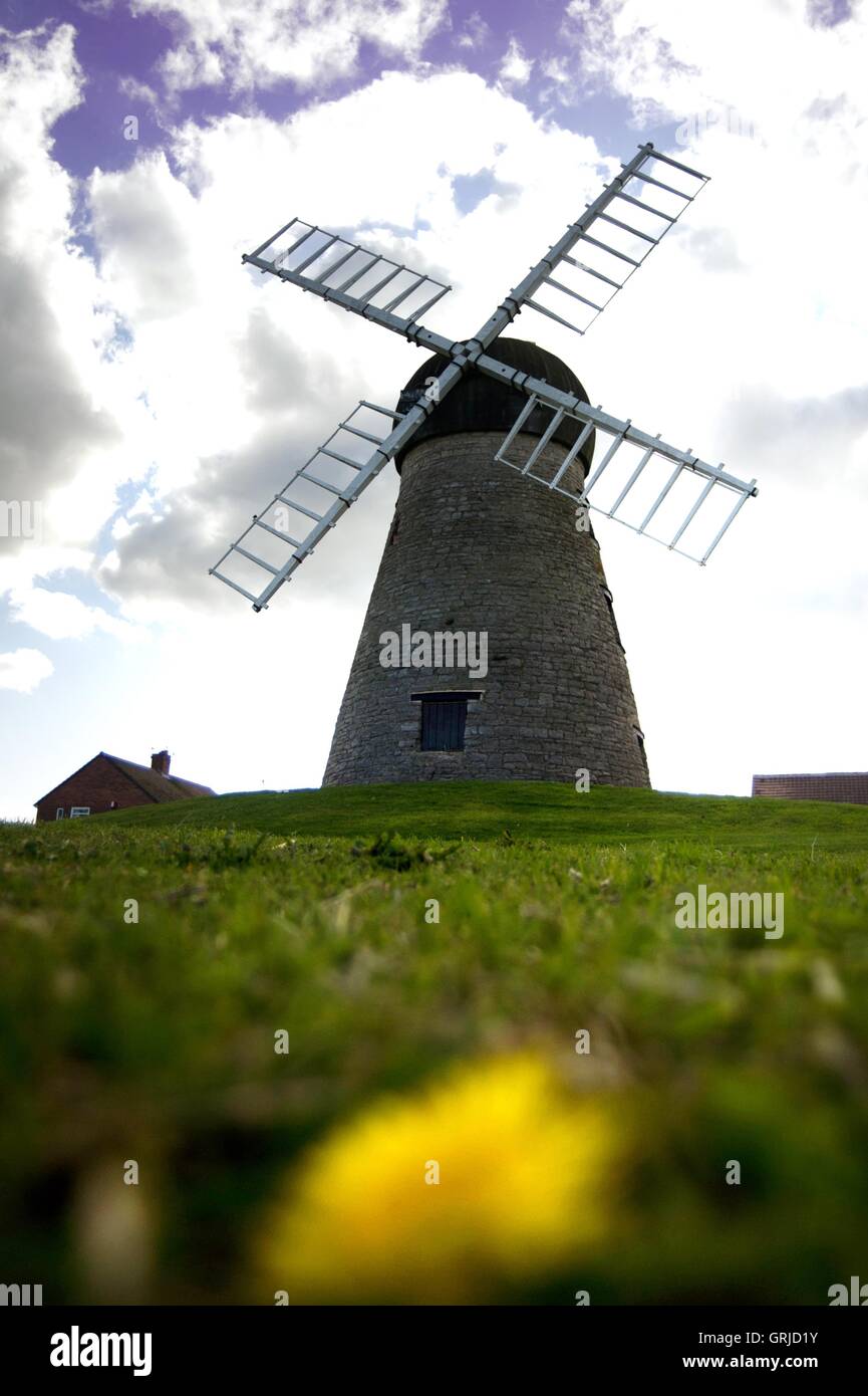 Whitburn mill, South Tyneside Stock Photo - Alamy
