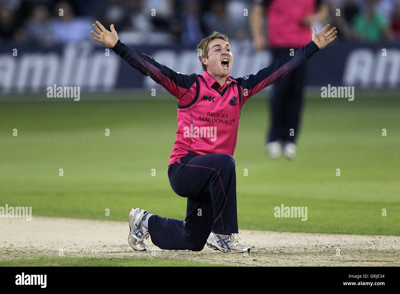 Tom Smith of Middlesex claims the wicket of Mark Pettini - Essex Eagles ...