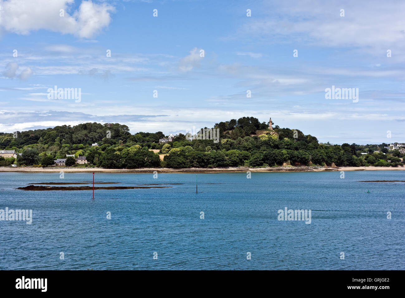 Red cardinal marks hi-res stock photography and images - Alamy