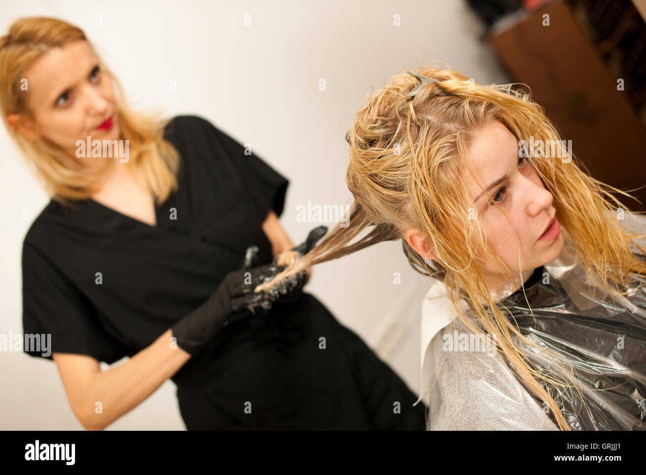 hair stylist at work - hairdresser applying a color on customers hair ...