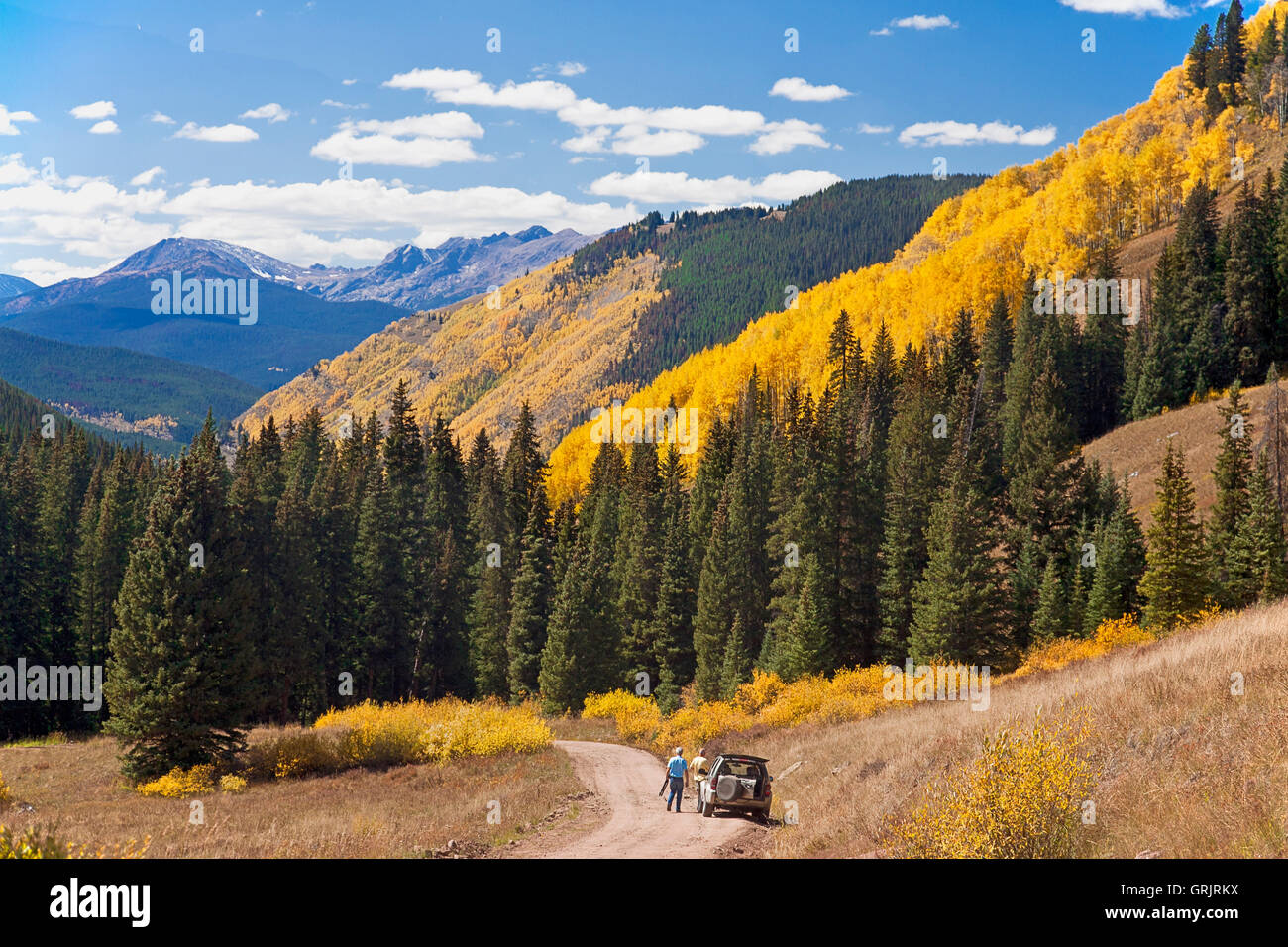 Aspens, Shrine Pass, Continental Divide, CO Stock Photo - Alamy