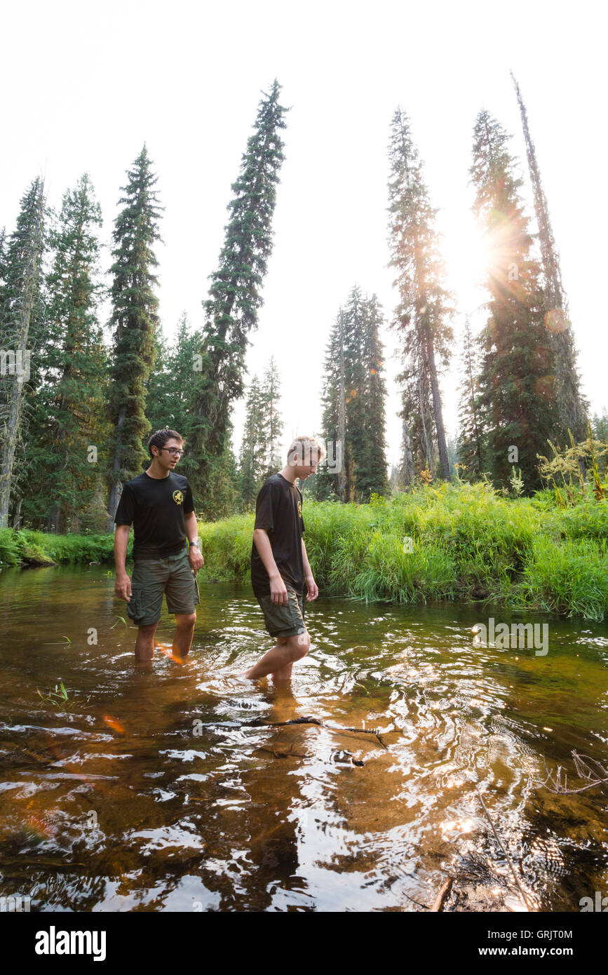 Wade small hi-res stock photography and images - Alamy