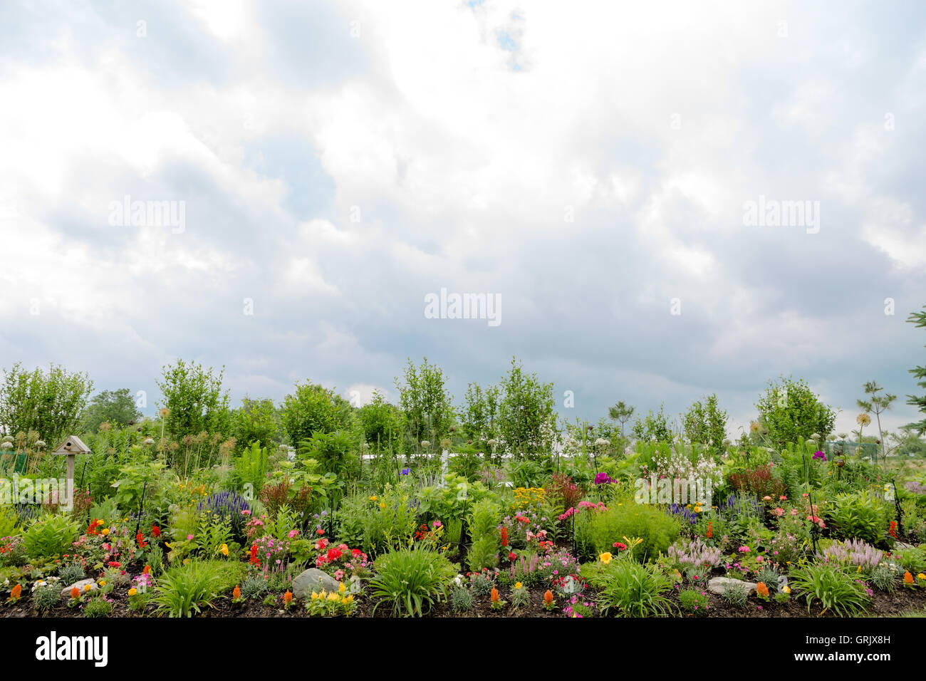 Beautiful formal flower garden with a scenic view of a neatly manicured ...