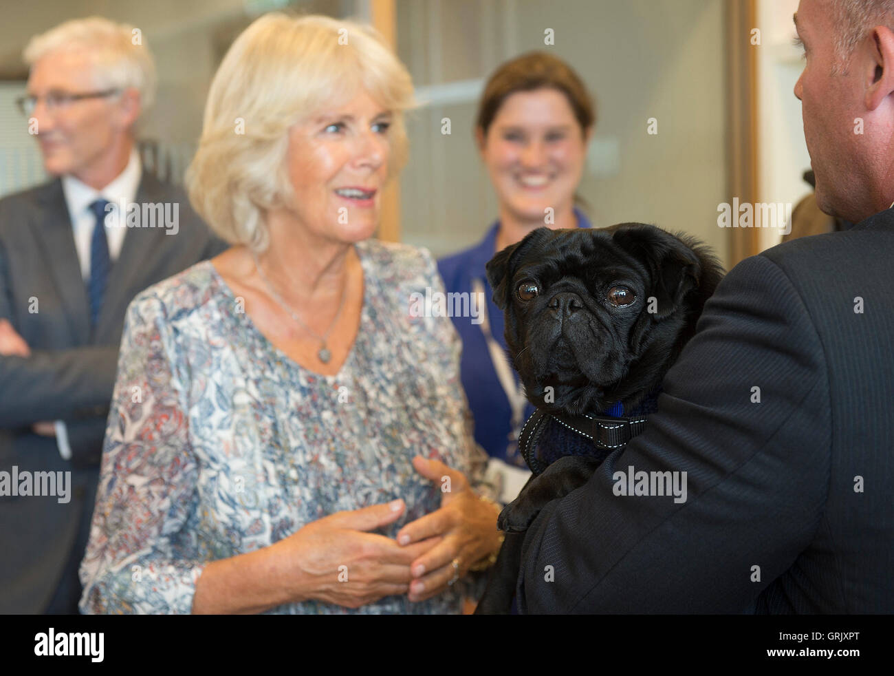 The Duchess of Cornwall meets Peanut the Pug and owner Shaun Davis ...