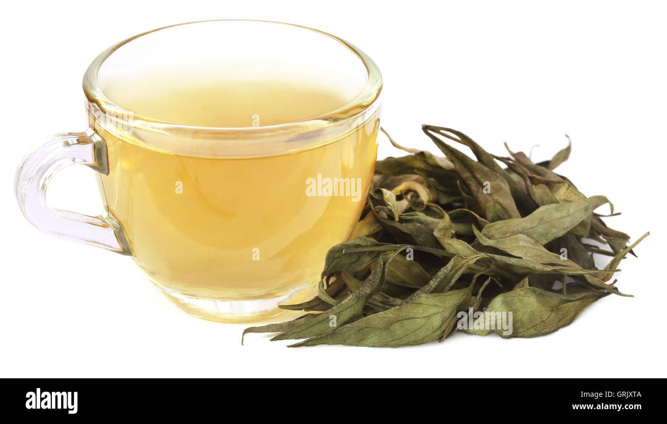 Cup of herbal medicinal tea hi-res stock photography and images - Alamy