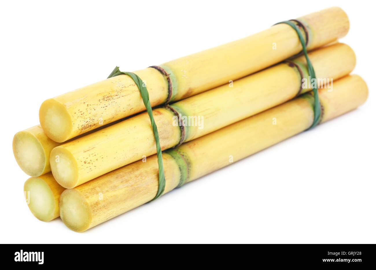 SUGARCANE ONLY BUNDLE - munimoro.gob.pe
